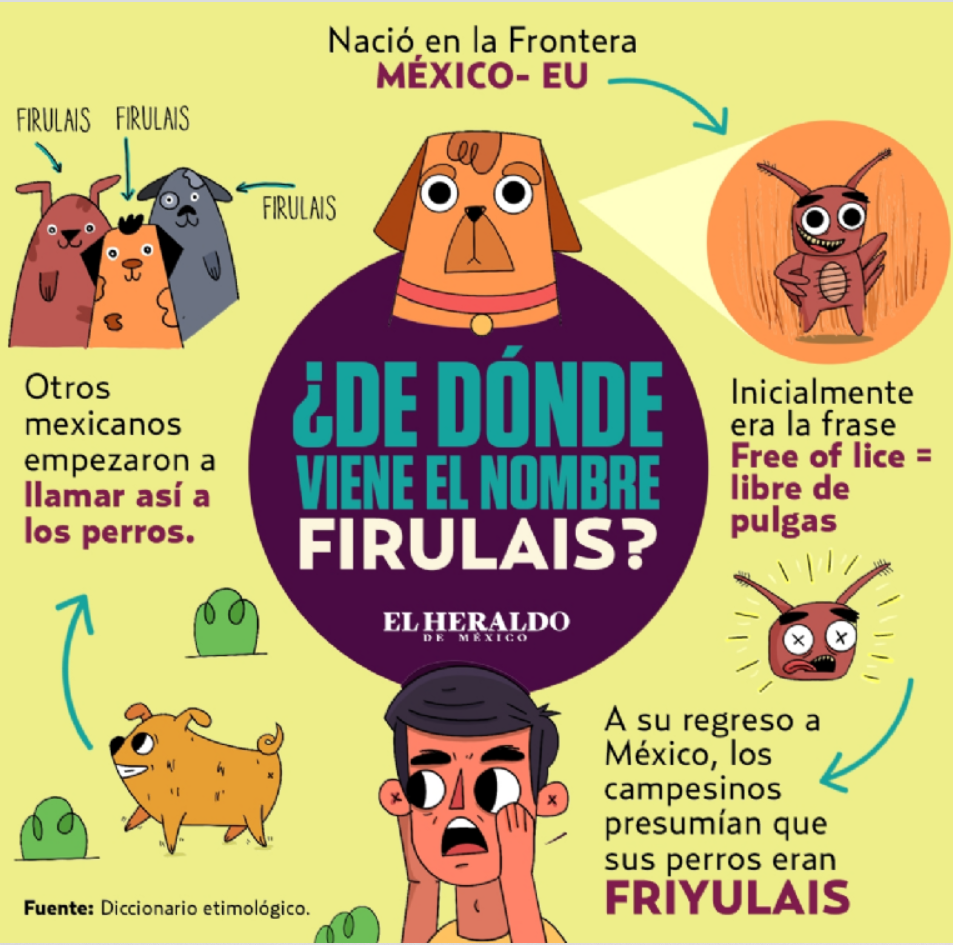 ¿Cuál es el verdadero origen del nombre 'Firulais' y qué significa en ...