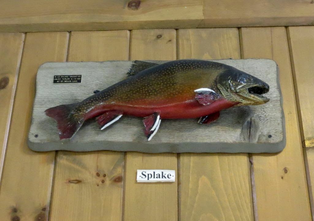 Windswept Adventure: The Adirondack Fish Hatchery In Lake Clear, New York