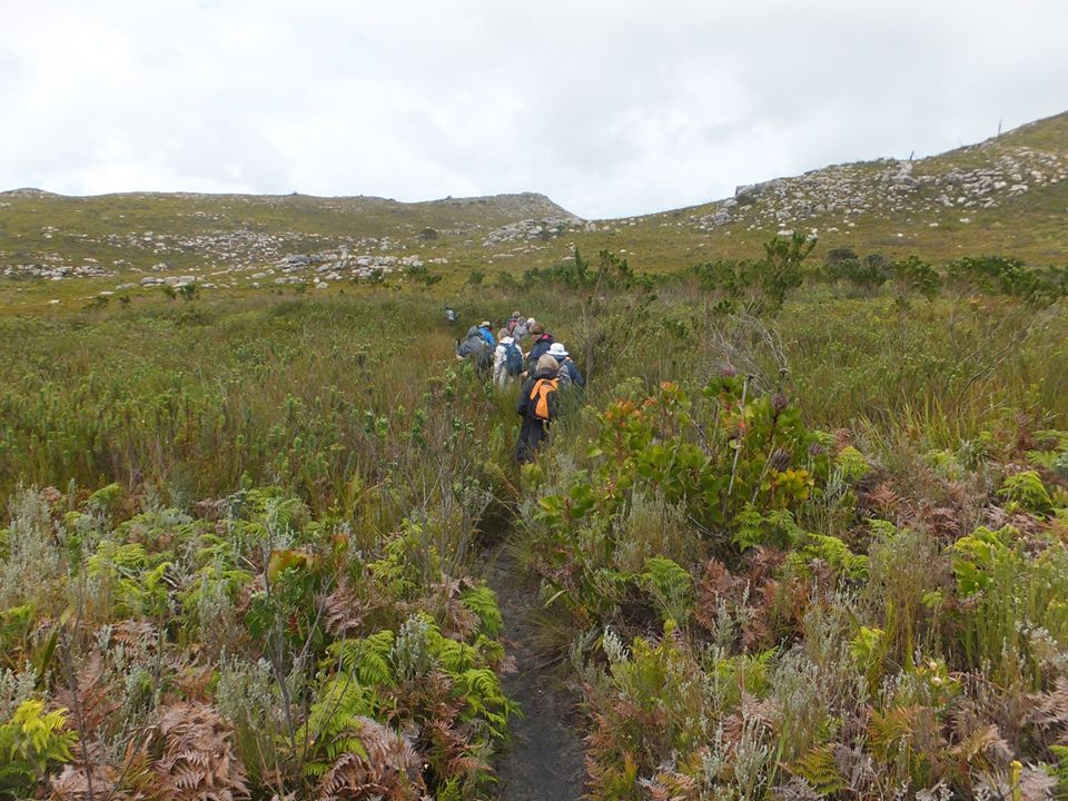 A day in the life: Spitskop, Silvermine Nature Reserve