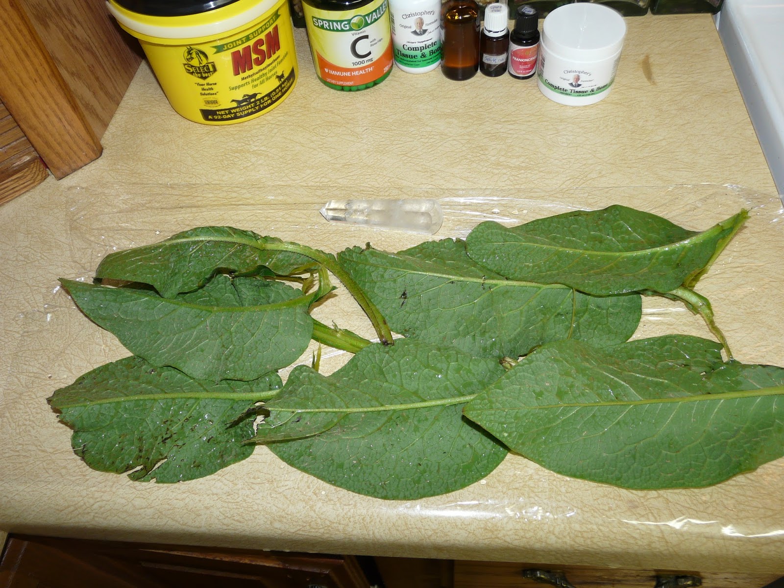 The "Secret" is Gratitude: Making a Comfrey Poultice Using Fresh Plant ...