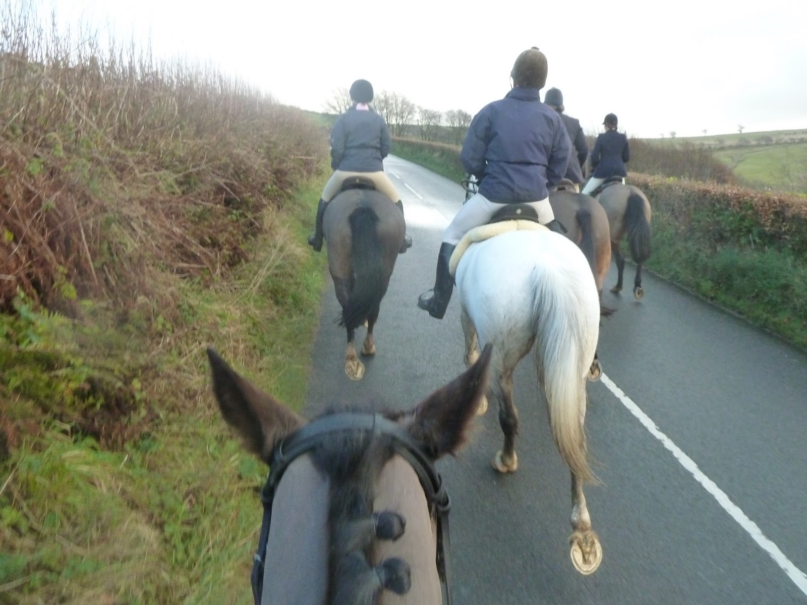 Rockley Farm: Hunting hooves
