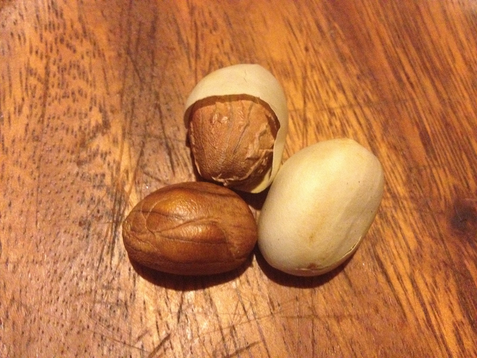 Raw Harmony: The Amazing JACKFRUIT! Raw chewing gum, icecream and more....