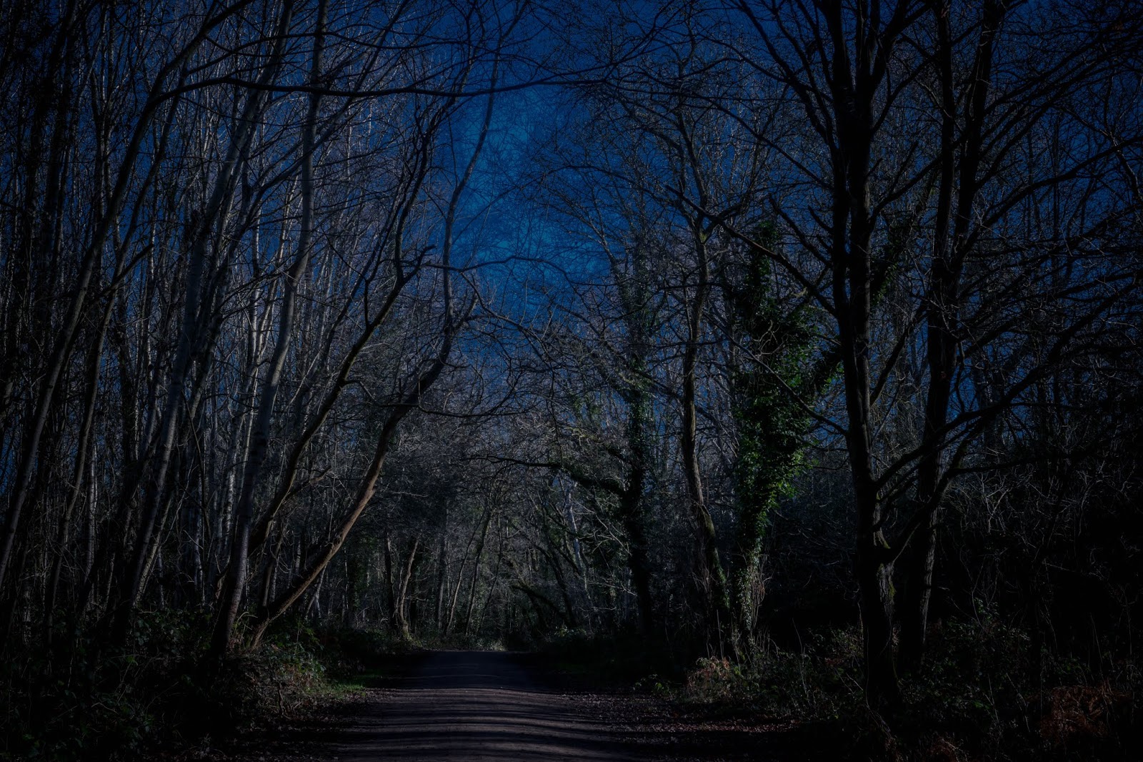 Enjoy your time with beautiful places: Epsom Common