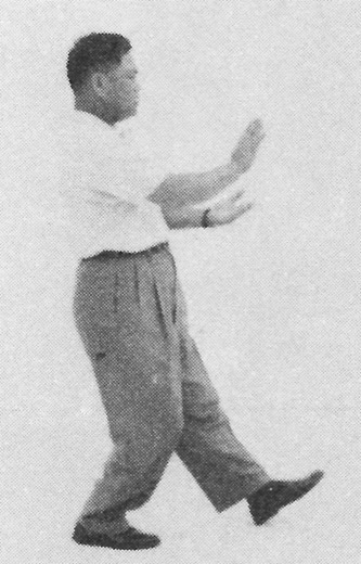 Tai Chi Chuan (Square Form) 48. Step Up And Pat The Horse High (Left ...