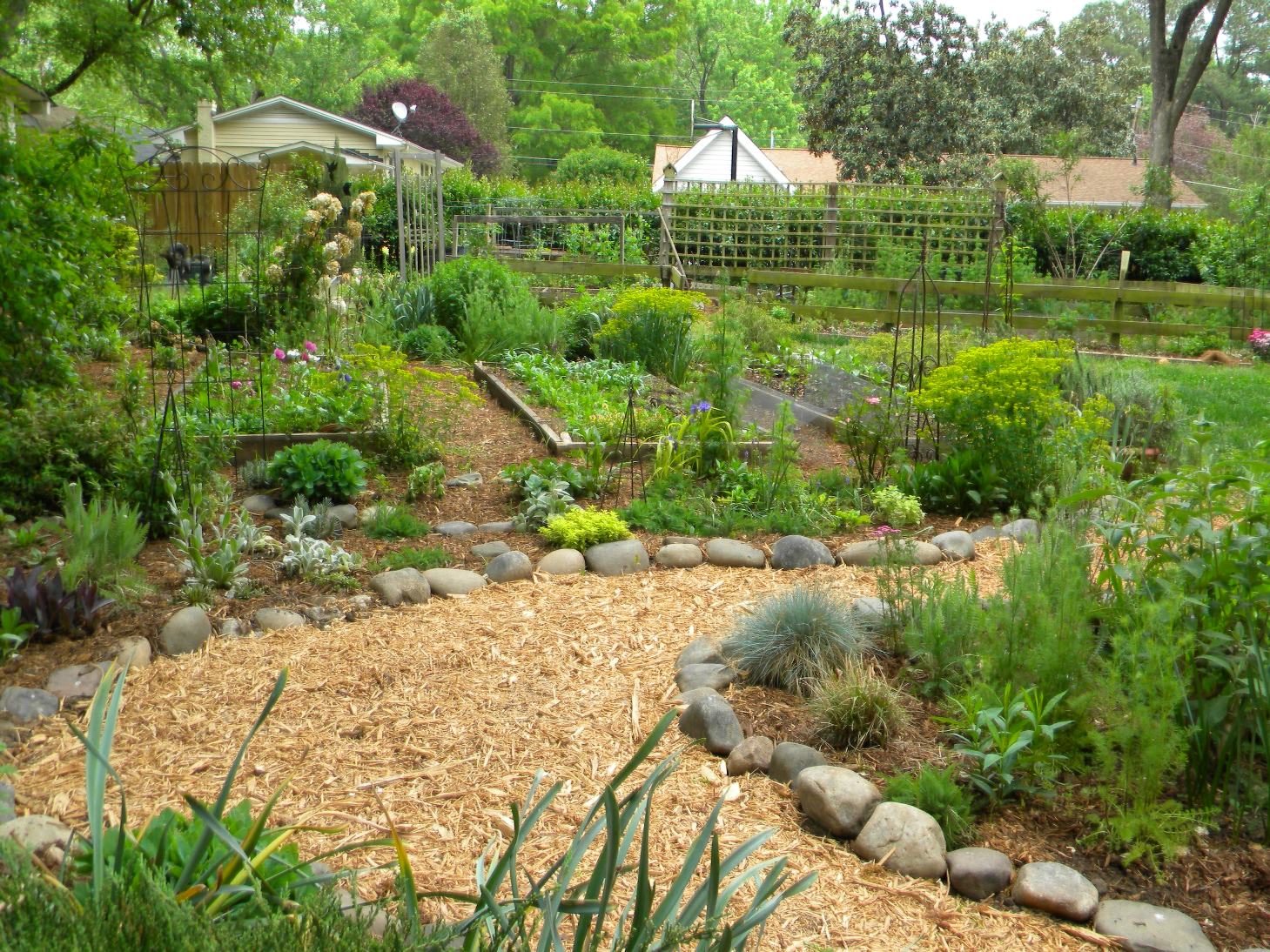 Wedding Flowers from Springwell: Springwell Gardens