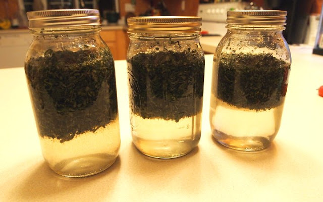 Make Your Own Cannabis Tincture - Natural Herbs