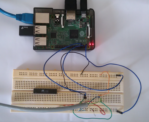 IPKWENA Perspectives: Raspberry PI Temperature Sensor