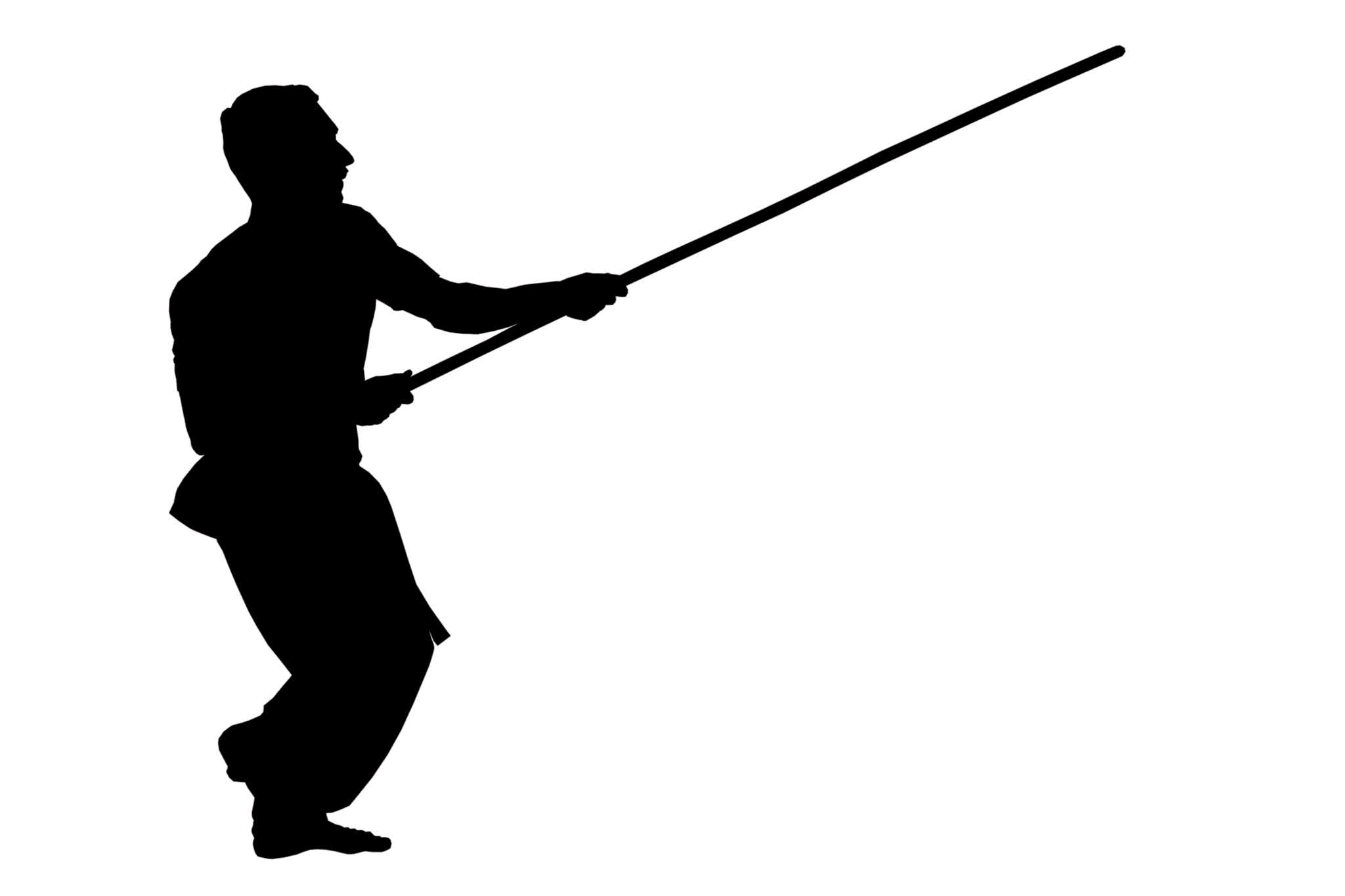 Panchabootha International Martial Arts Academy: Silambam Clipart , vector