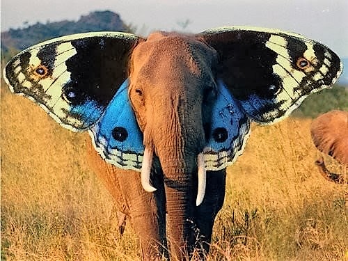 Fieggentrio: De leukste en mooiste foto's van februari 2012