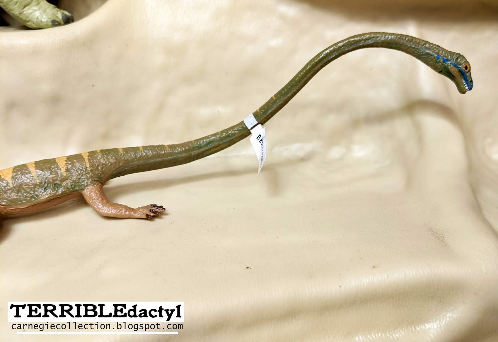 The Carnegie Collection Tanystropheus (2000)