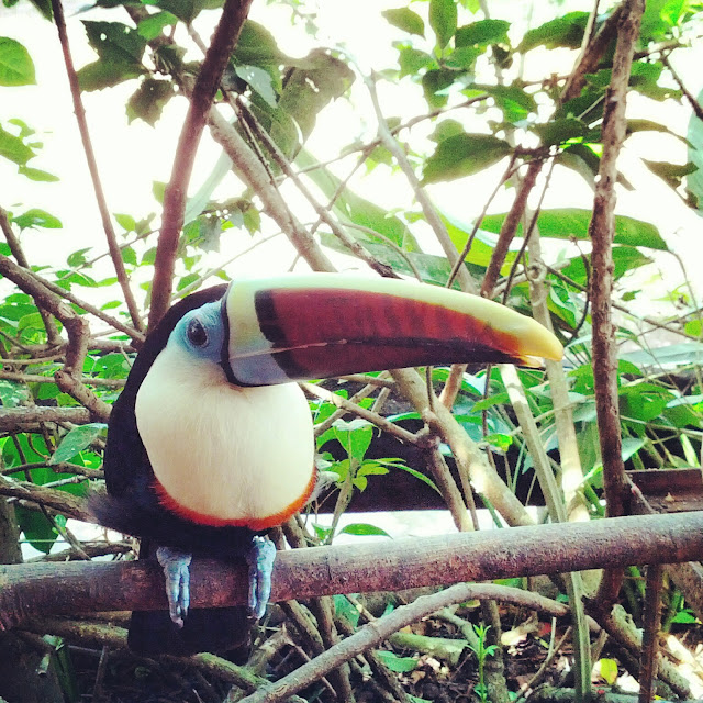 Bongaloo: Canaima, Venezuela