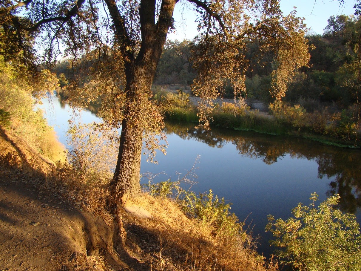 Geotripper: The Riparian Habitat is Nearly Gone? Aren't There Still ...