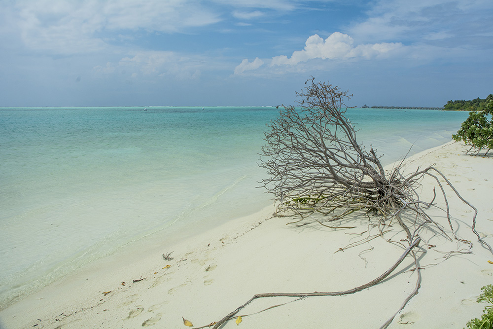 Soffia il vento dell'est: Maldive 4 -Il mare