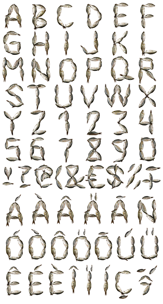 Letterology: The Biggest Catch of Fish Lettering