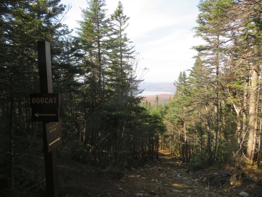 Outdoor Diversion: Hiking Magalloway Mountain