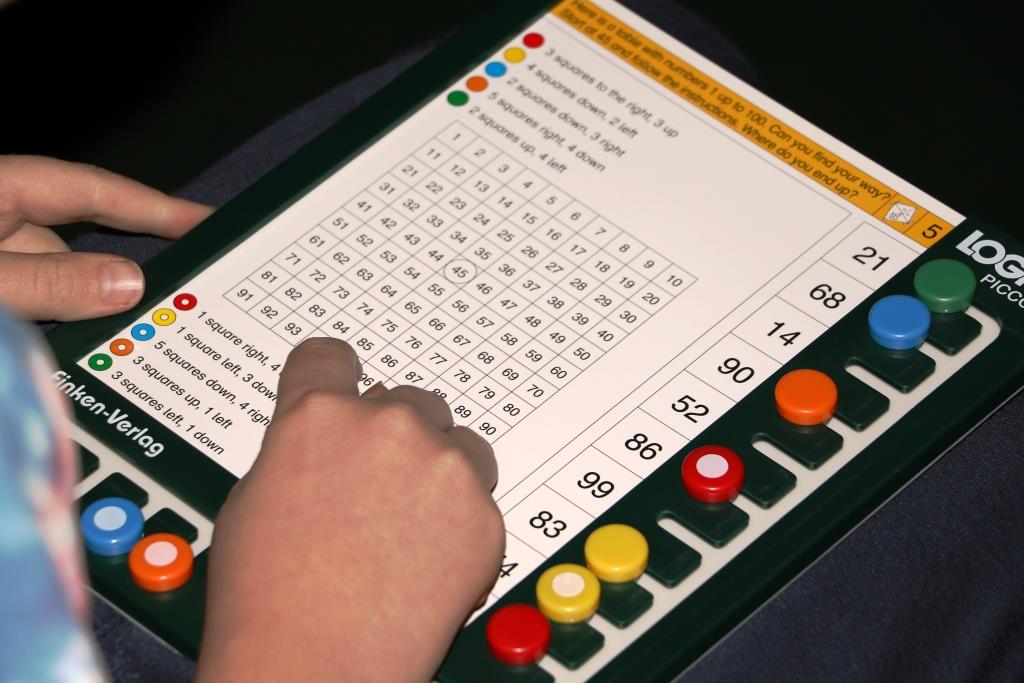 Every Bed of Roses: LOGICO Learning Game Review