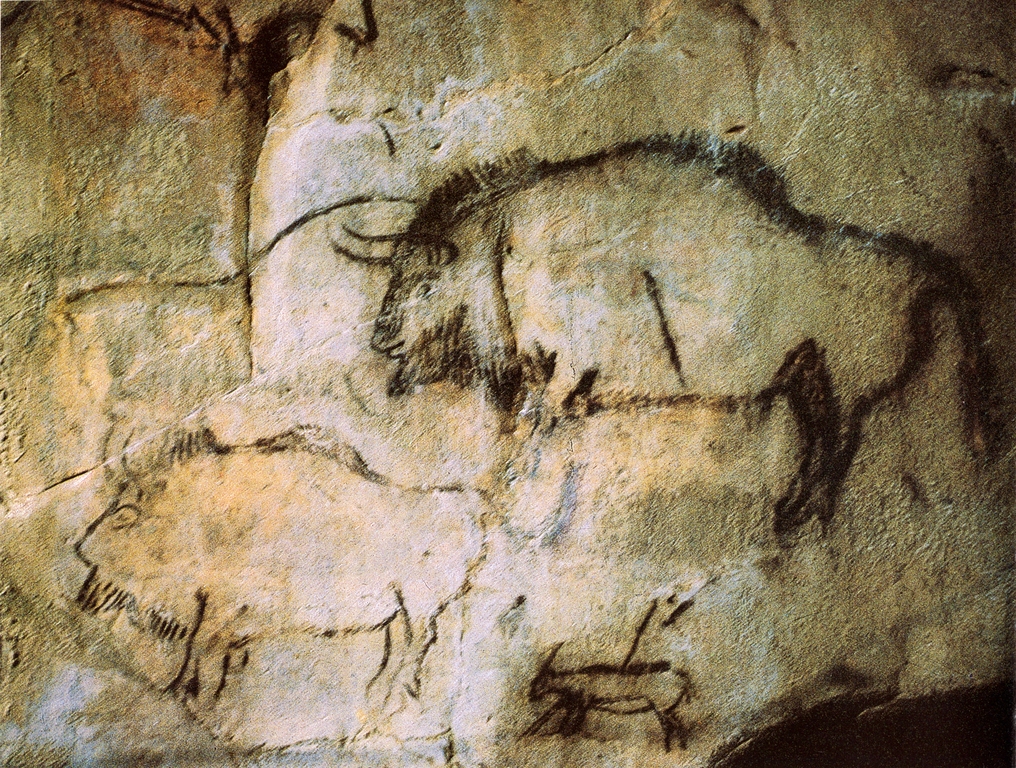 THE UNIFIED FIELD ORGAN PROJECT: THE BISON CAVE PAINTING THEORY
