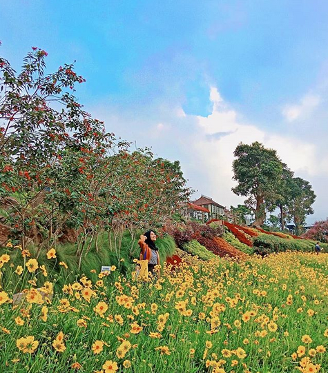 Rainbow Garden Lembang, Destinasi Wisata Surga Pecinta Bunga ...