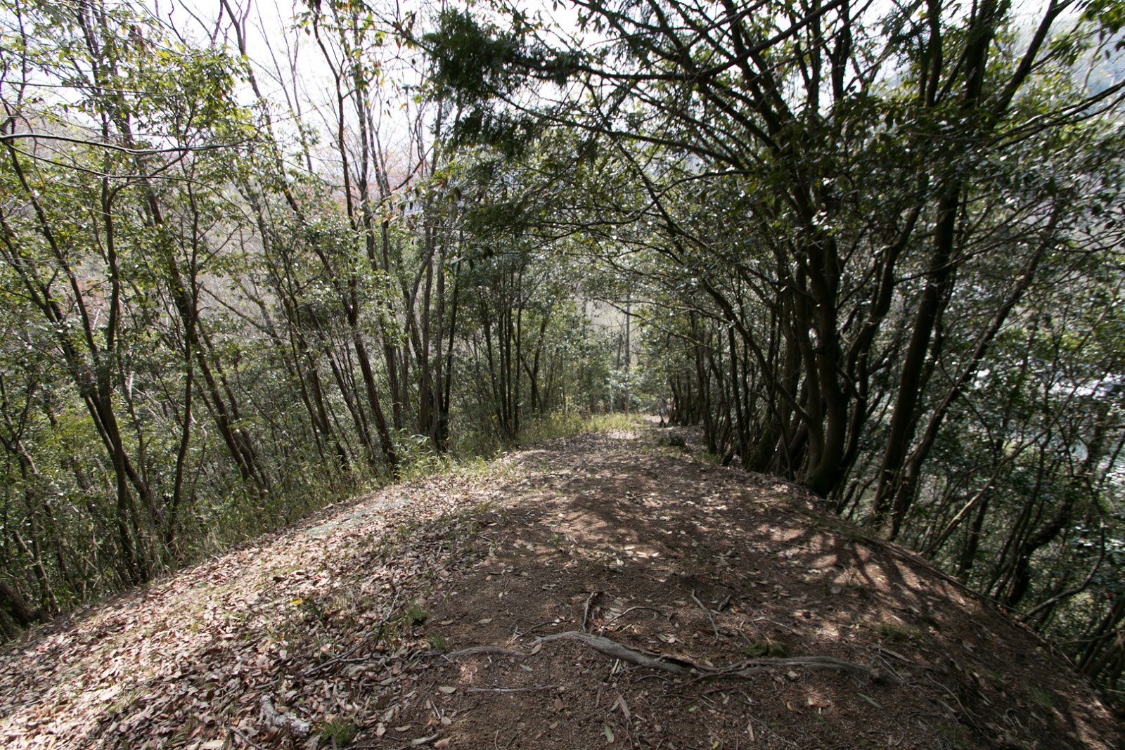 Rikan Castle -Abandoned fortress in the sky- | Ken's Storage: Pictures ...