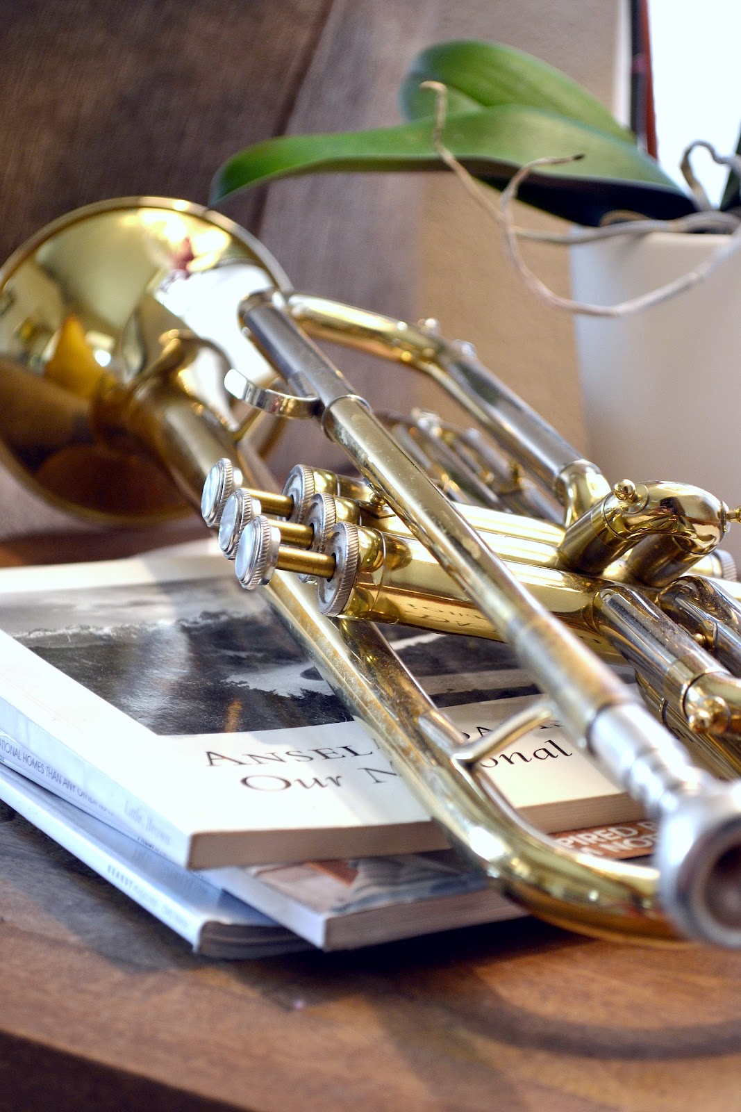 the pink couch: home tour - Sitting Room