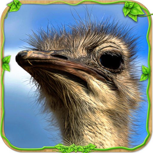 Glufun Games: Furious Ostrich Simulator
