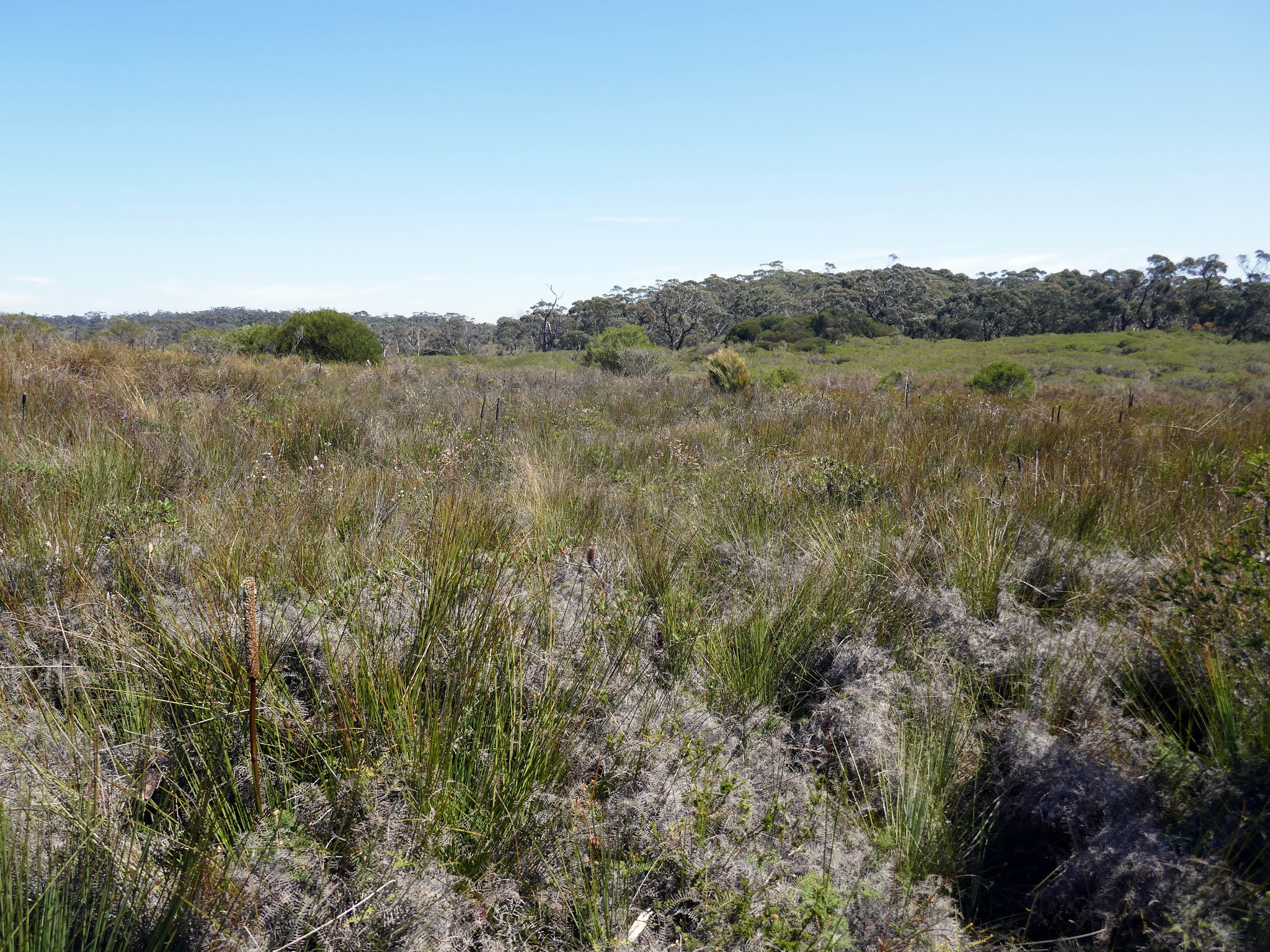All The Gear But No Idea: Barren Grounds - the Griffiths Track