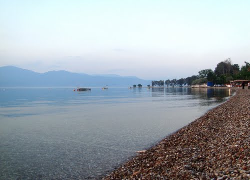 ΕΡΥΜΑΝΘΟΣ ΚΟΙΝΩΦΕΛΗΣ ΕΡΓΑΣΙΑ - ΑΙΓΙΟ: ΠΑΡΑΛΙΕΣ ΑΙΓΙΑΛΕΙΑΣ