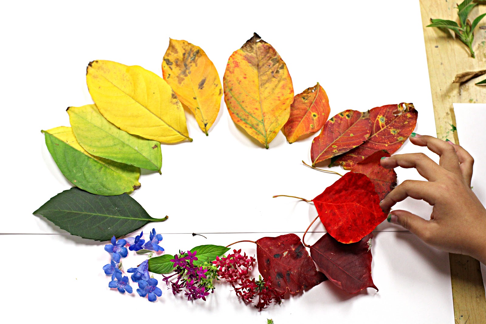 smART Class: Fall Leaves Crayon Resist Paintings