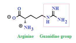 Welcome to Chem Zipper.com......: Basicity of Guanidine