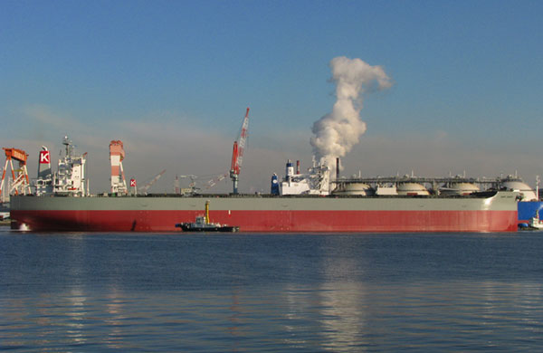 m/v Cape Canary ~ Mighty-Ships.com