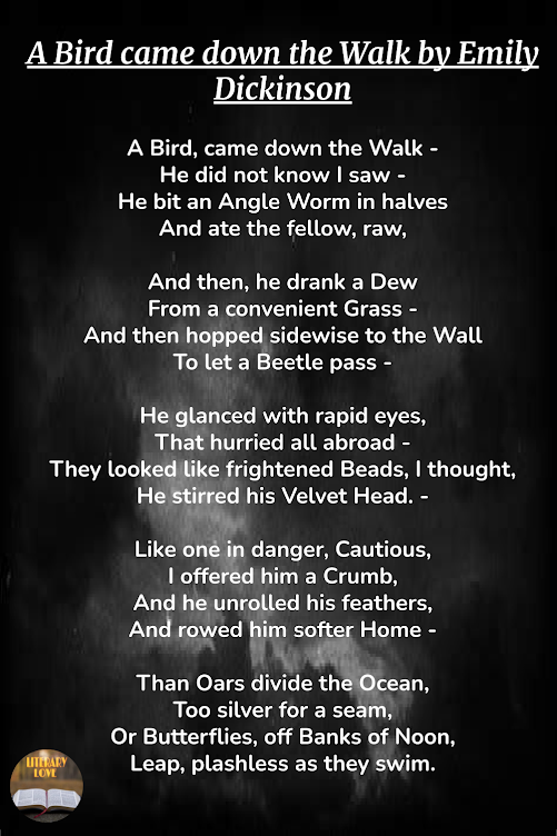 A Bird came down the Walk by Emily Dickinson