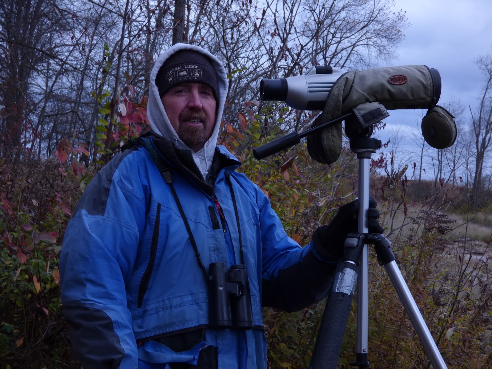 The Future of Birds: Western Great Lakes Bird & Bat Observatory fall ...