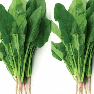 Priya's Virundhu: Keerai Varieties/Keerai Vagaigal/Greens in Tamil and ...