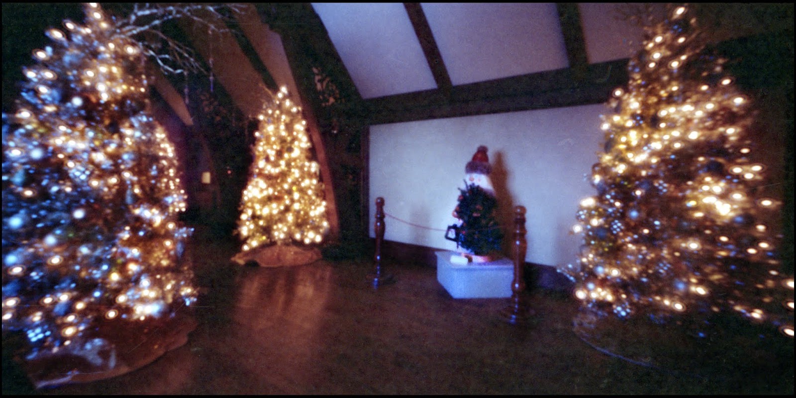 Pinholica: Nutcracker in the Castle