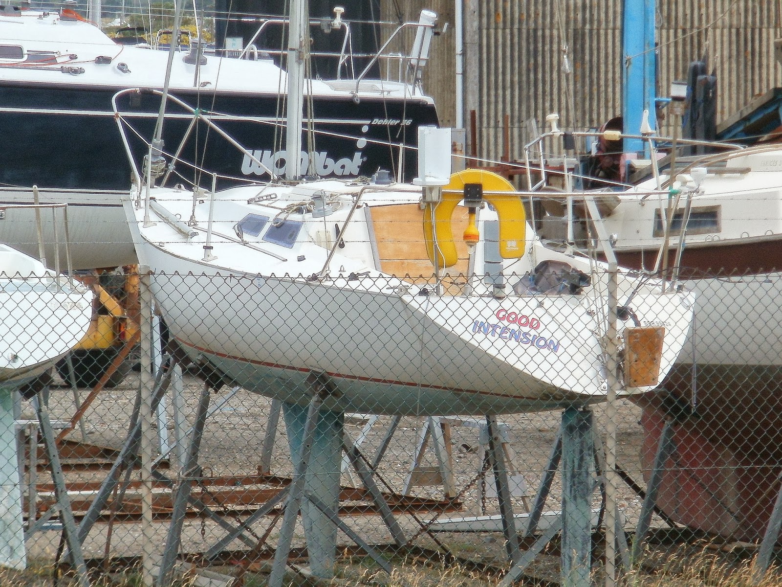 Shockwave40: Good Intension - Evolution Glass Onion designed Mini ...