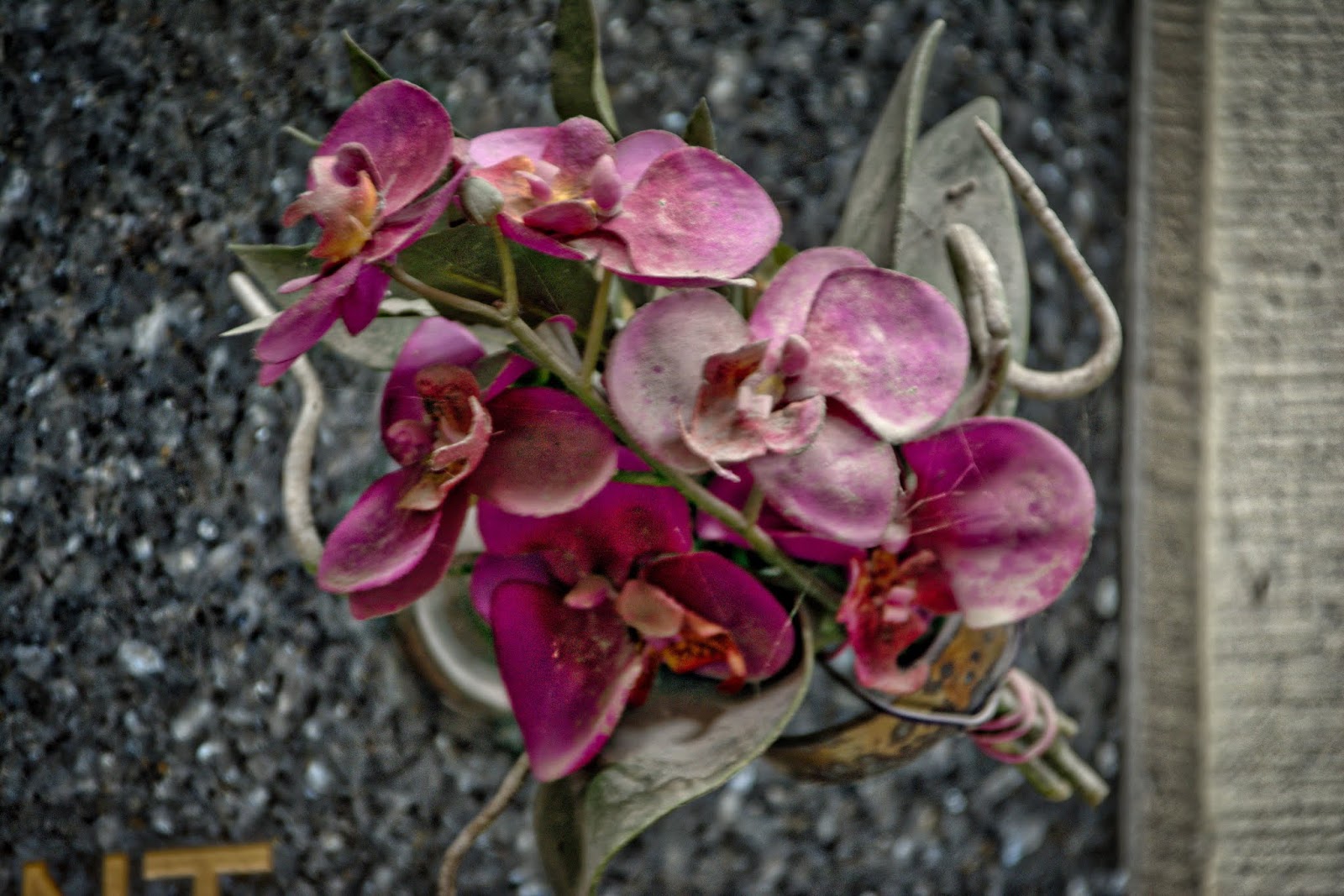 The Cosy Traveler: The Most Beautiful Crypt (and Cemetery) in Brussels