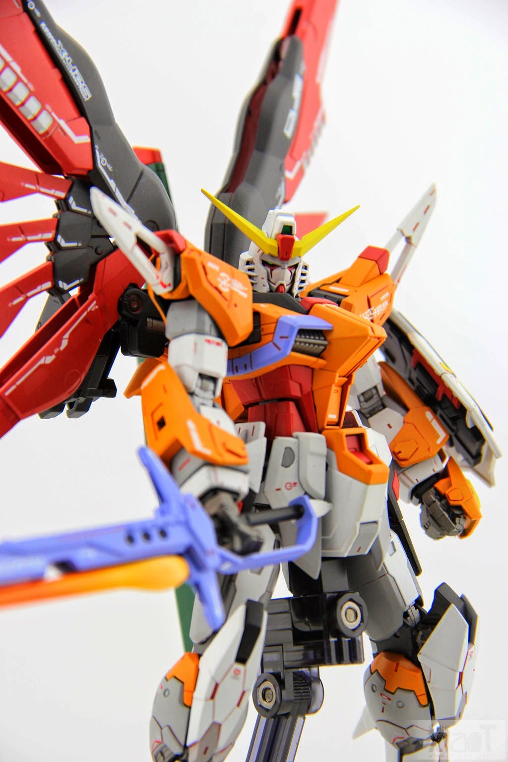 RG 1/144 Destiny Gundam "Heine Westenfluss Colors" Custom Build