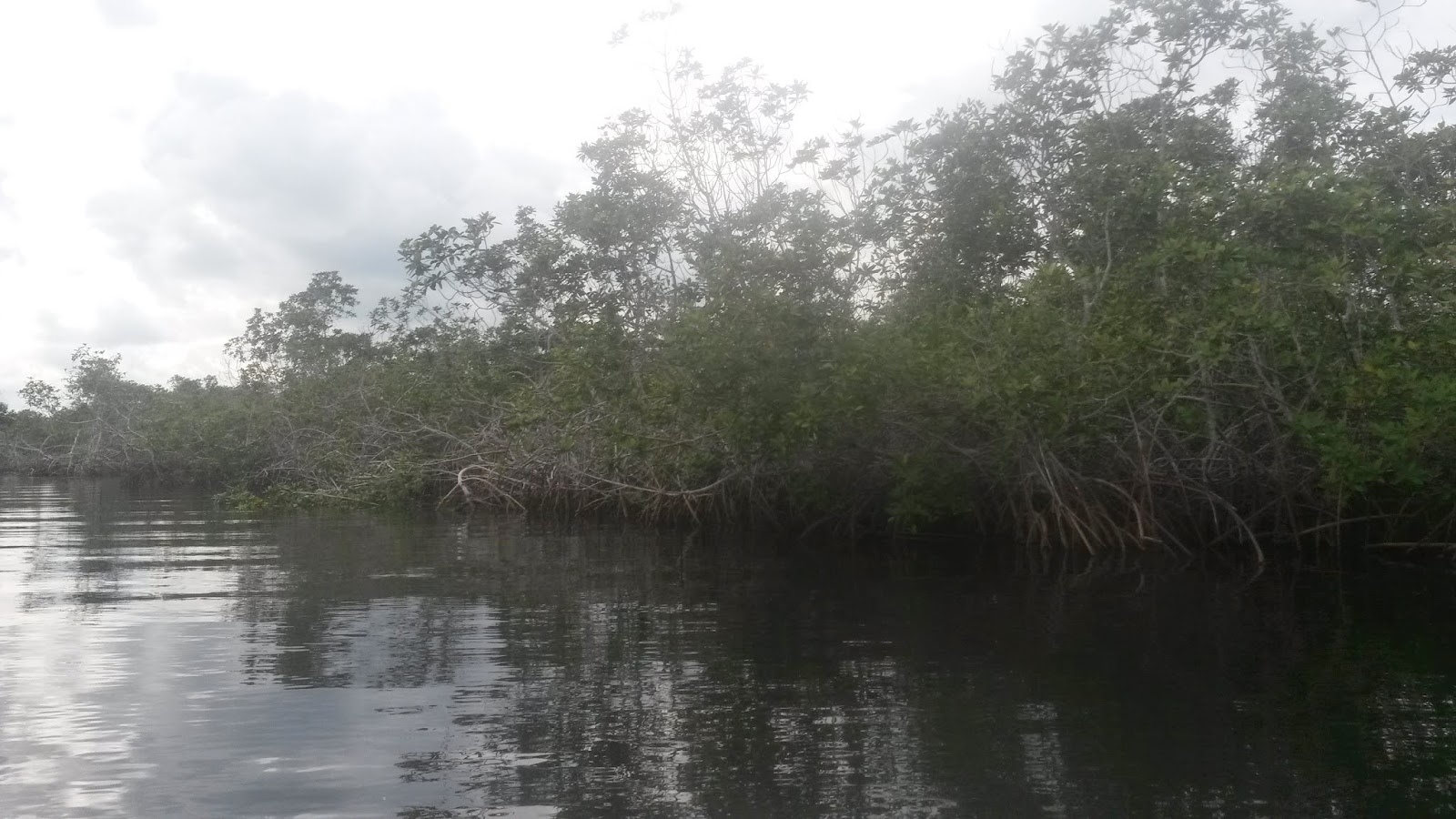 Exploring Congo: Moanda, a weekend at the beach (and Mangrove Forest)