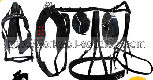 German Driving Harness ~ workwell saddlery