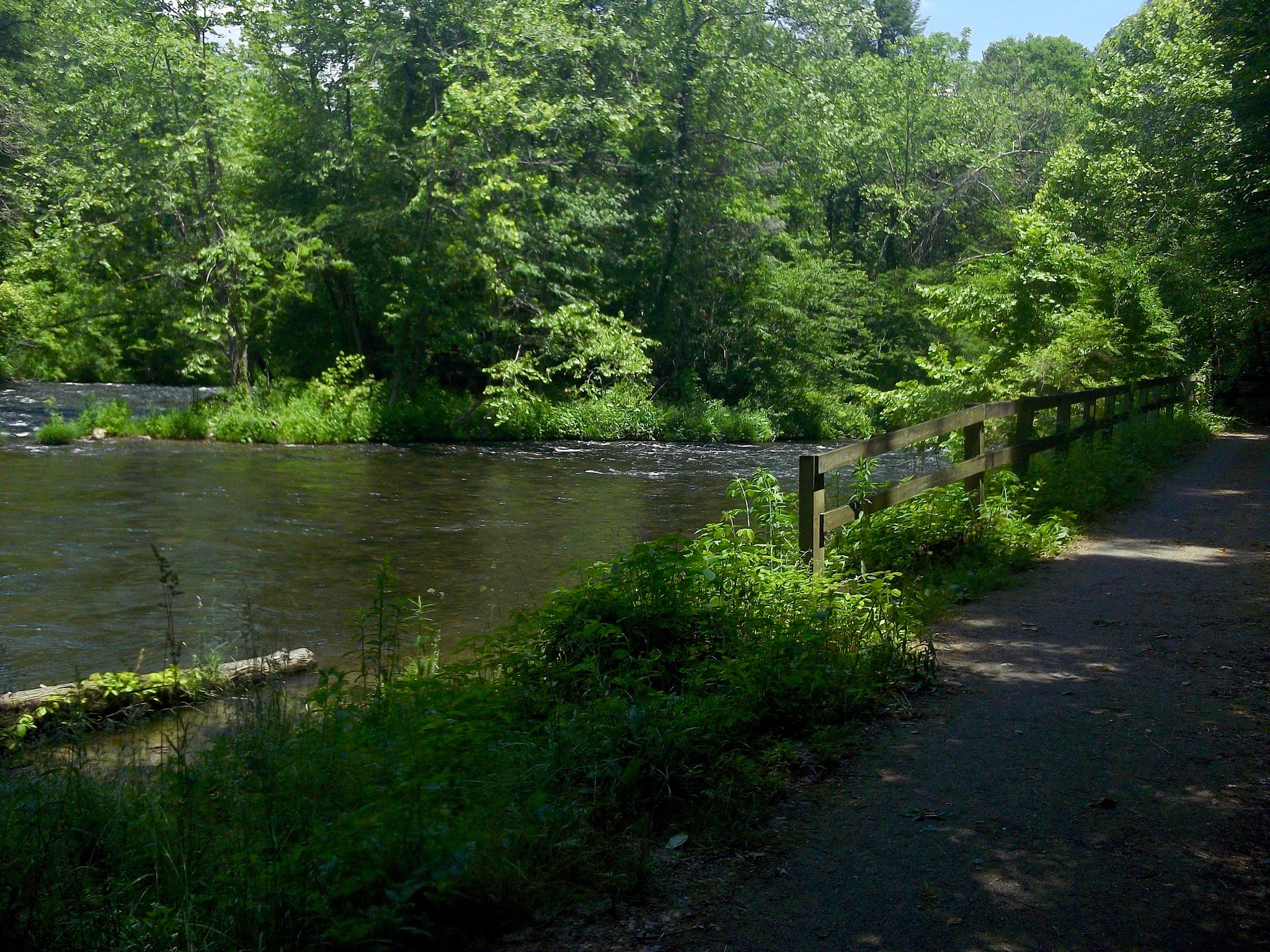 Appalachian Trail Adventures: 2020 - The William Bartram Trail ...