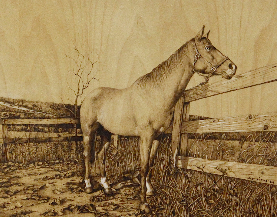 My Pyrography: Pyrography Art by Adin Begic - Wood-Burning - Pirografija