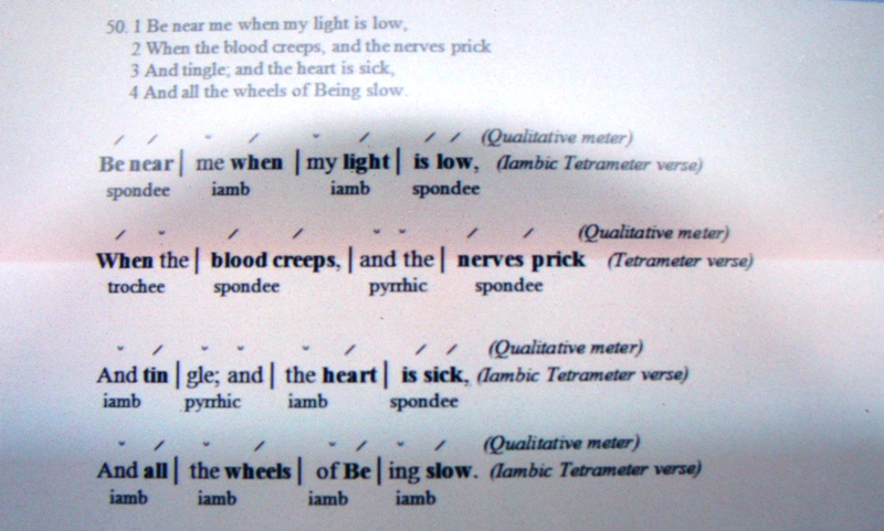 Poetrydish: Pyrrhic the Mirror Image of Dibrach