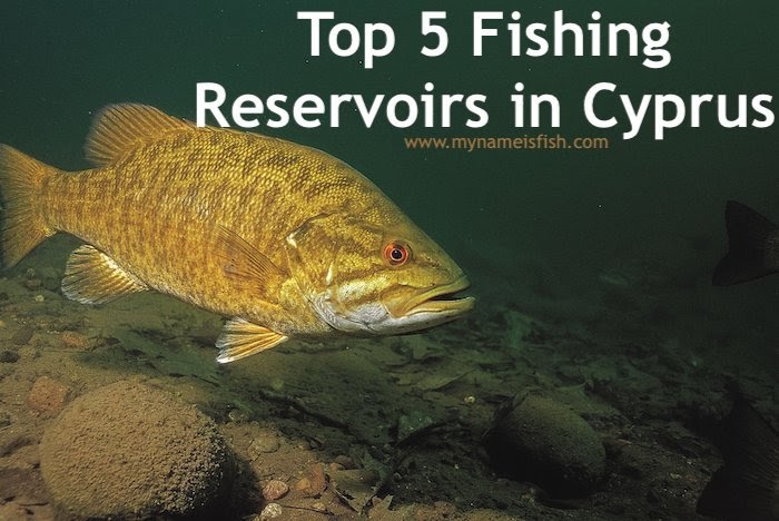 Top 5 Fishing Reservoirs in Cyprus
