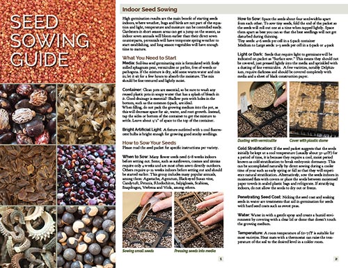 Our Seed Sowing Guide