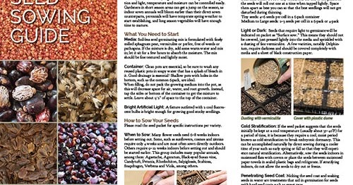 Our Seed Sowing Guide
