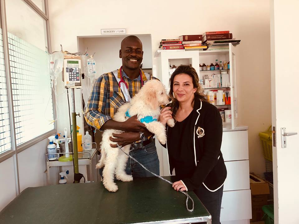 small five VET CLINIC - “Your all-in animal care!”