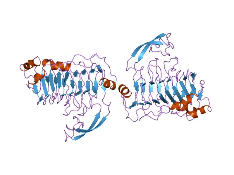 Understand Biology: Gambar enzim 3D