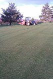 Malton and Norton Golf Club Greens Department: Solid tining greens