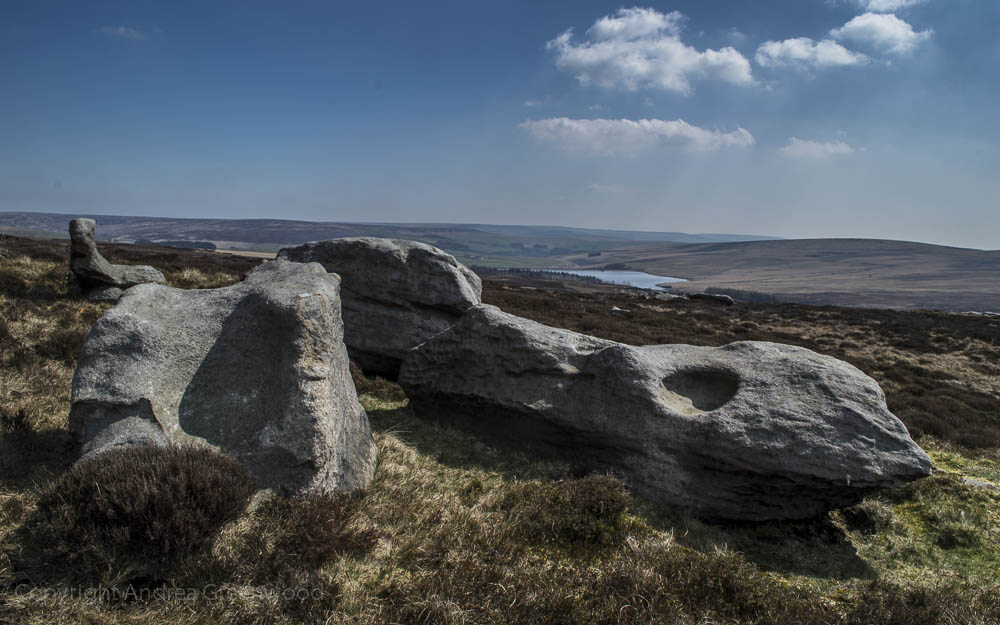 The best of my landscape, macro and animal photography: Interestingly ...