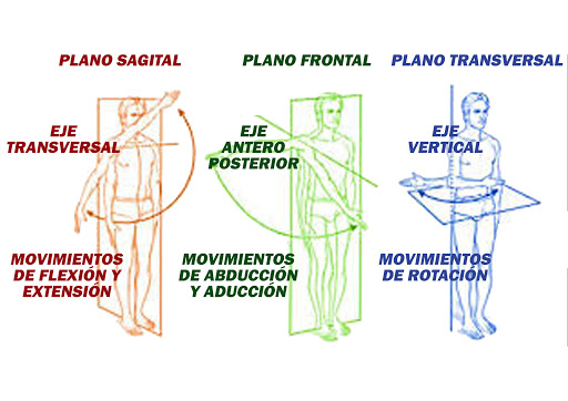 EJES Y PLANOS ANATÓMICOS